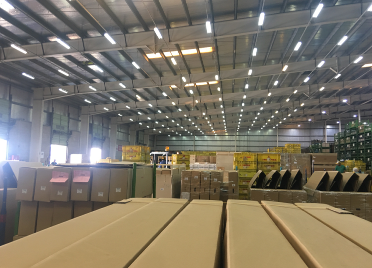 Warehouse Lighting – CESP LED – LED Lighting Companies Dubai